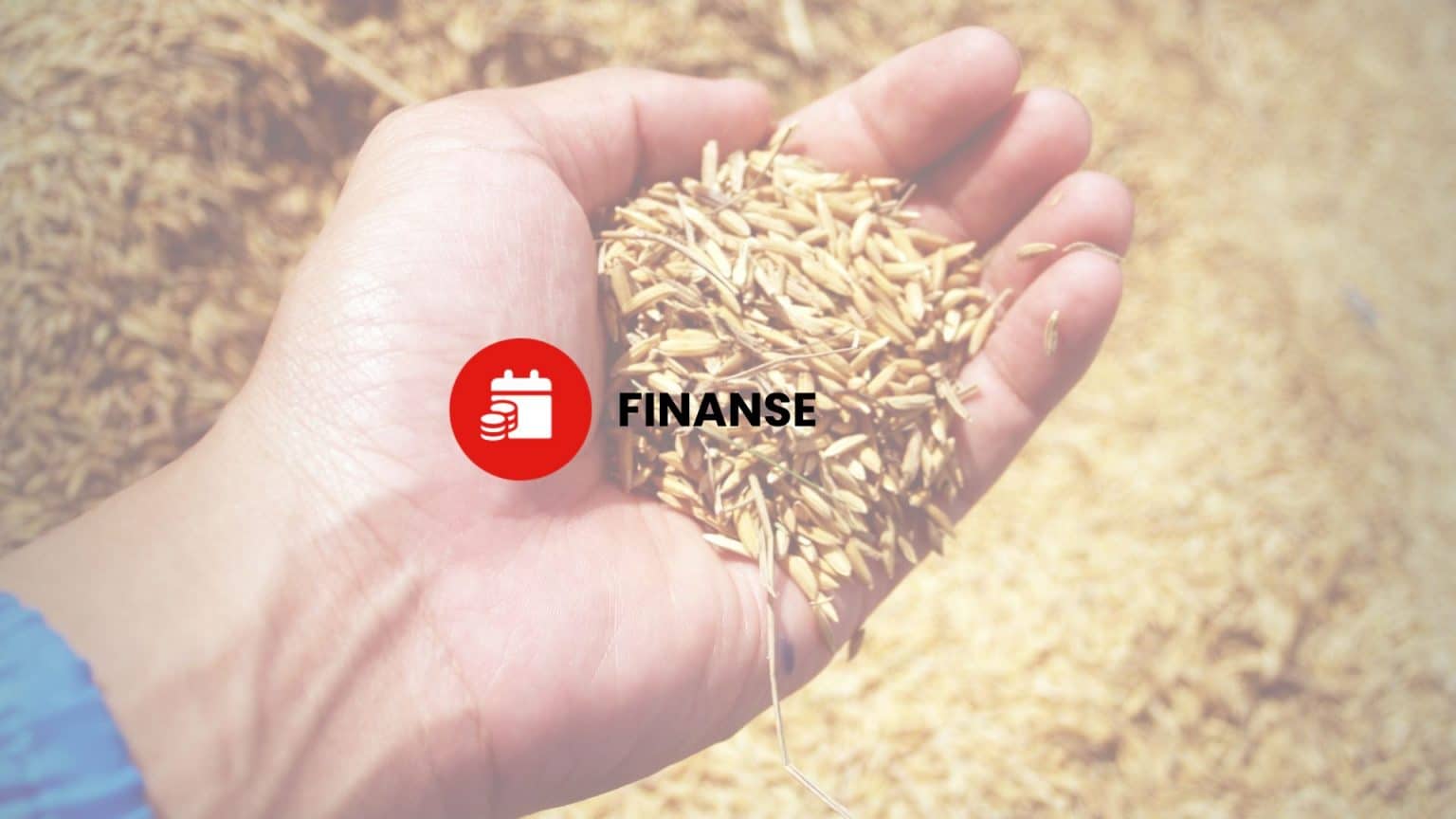 Seed capital – co to jest i na czym polega? - Polskie ePłatności