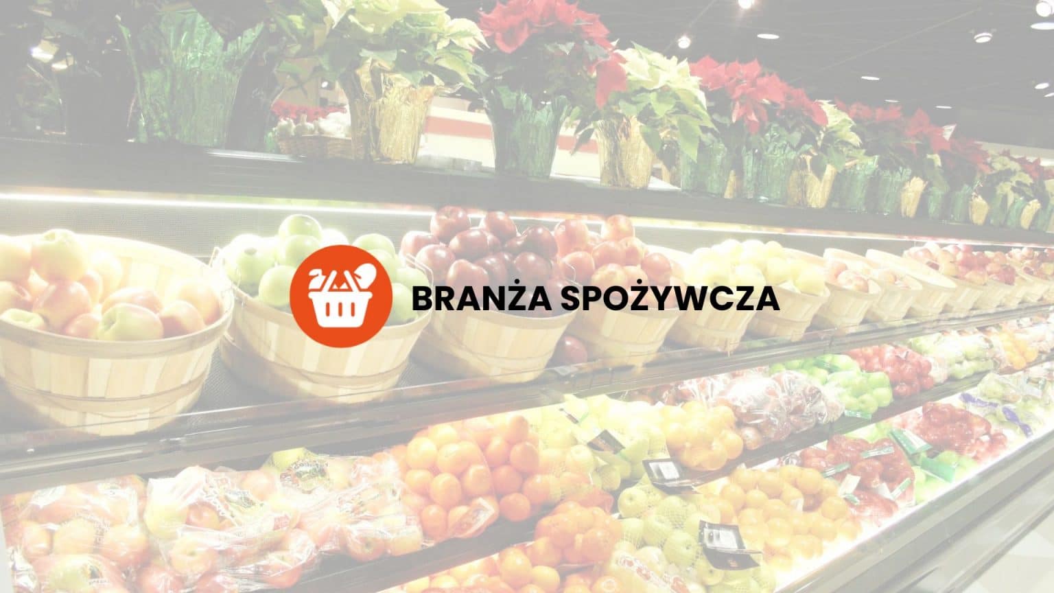 Branża retail w Polsce - czym jest, ogólna charakterystyka, ogólne ...